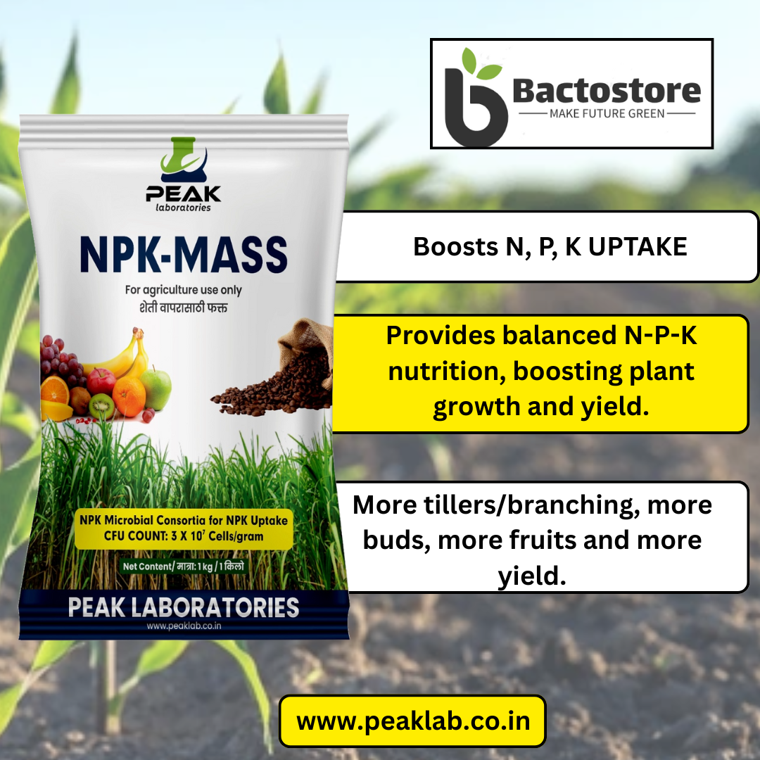 NPK Consortia: The Ultimate Guide to Boosting Crop Yield and Soil Heal ...