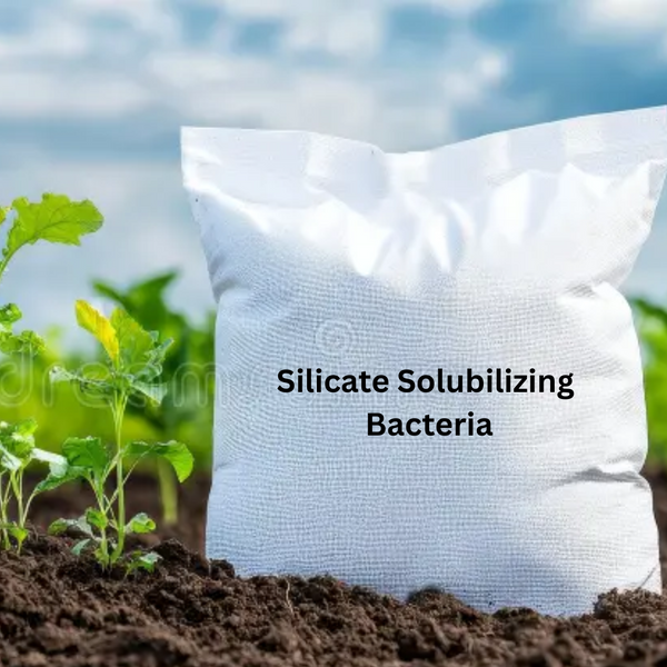 Buy Silicate Solubilizing Bacteria Online at wholesale price | SSiB for ...